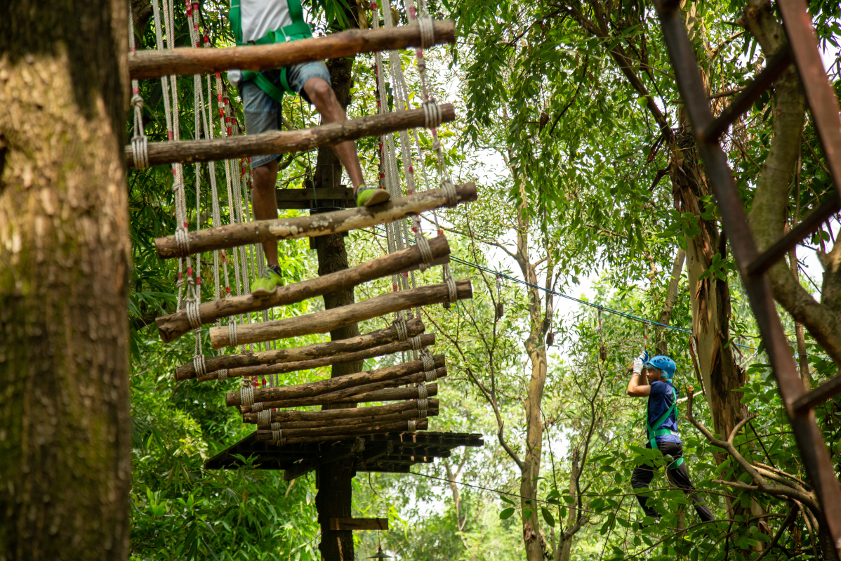 Tree Top Course | BASECAMP