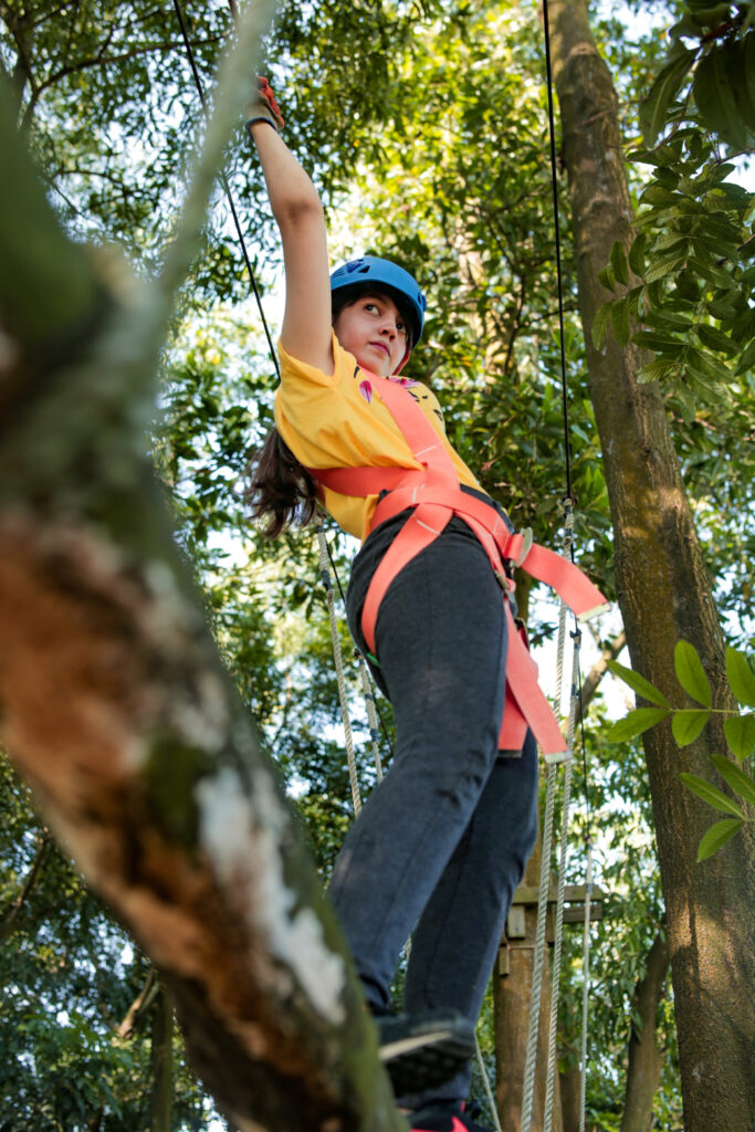 Tree Top Course | BASECAMP
